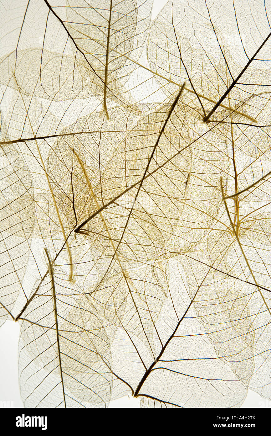 Layered transparency hi-res stock photography and images - Alamy