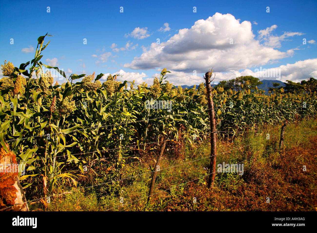 Farmer s field Stock Photo - Alamy