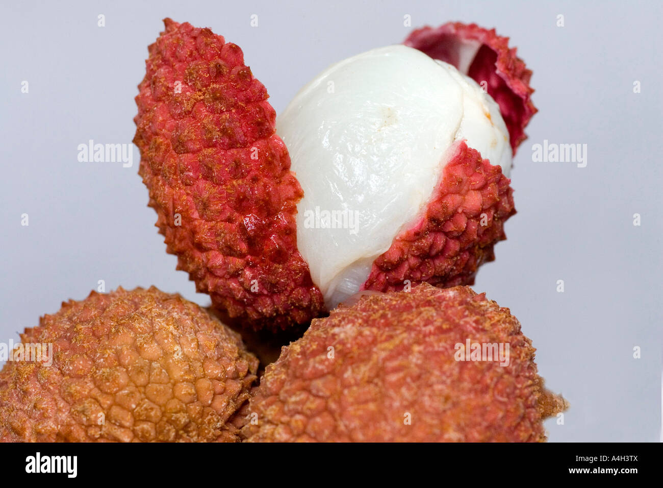 Lychee (Litchi chinensis Stock Photo - Alamy