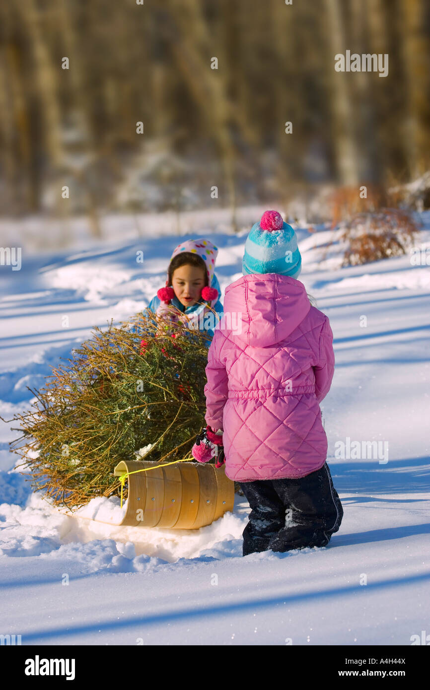 Girls working together Stock Photo - Alamy