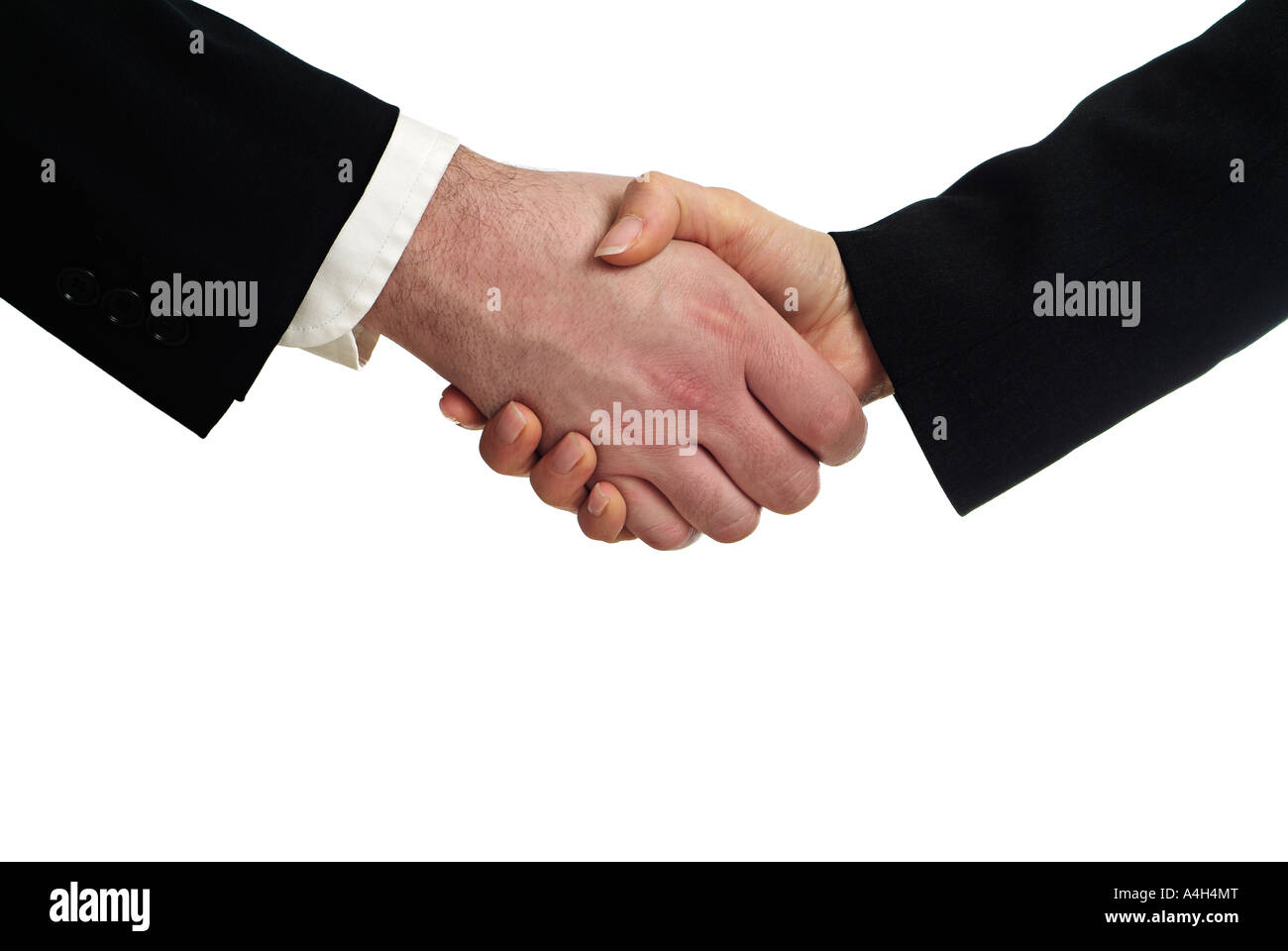 Male and Female Business People Shaking Hands Against a White ...