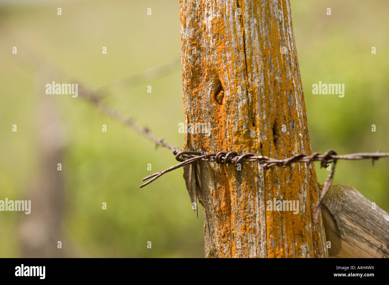 Old fence post Stock Photo - Alamy