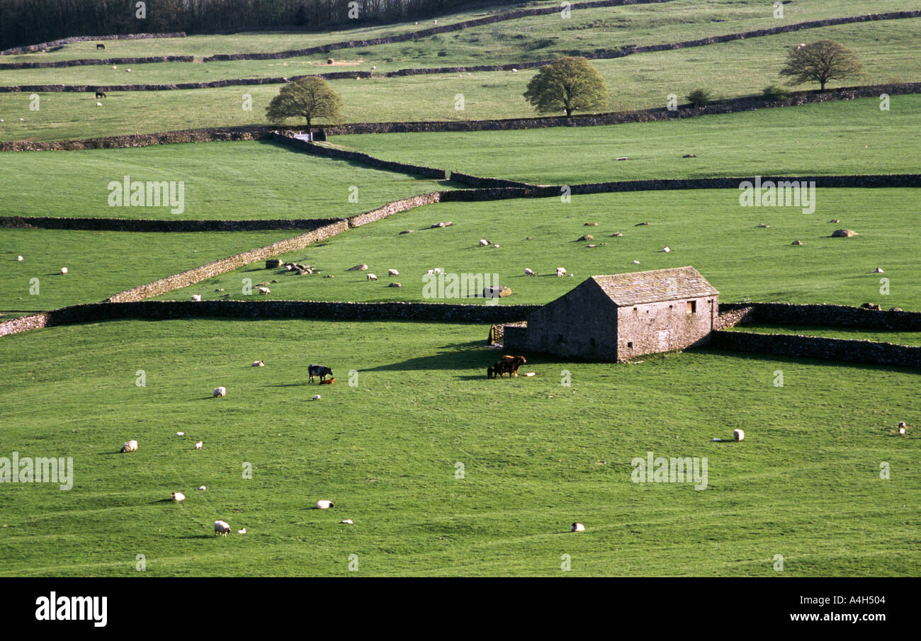 Stone Barn Austwick Yorkshire Dales Stock Photo - Alamy