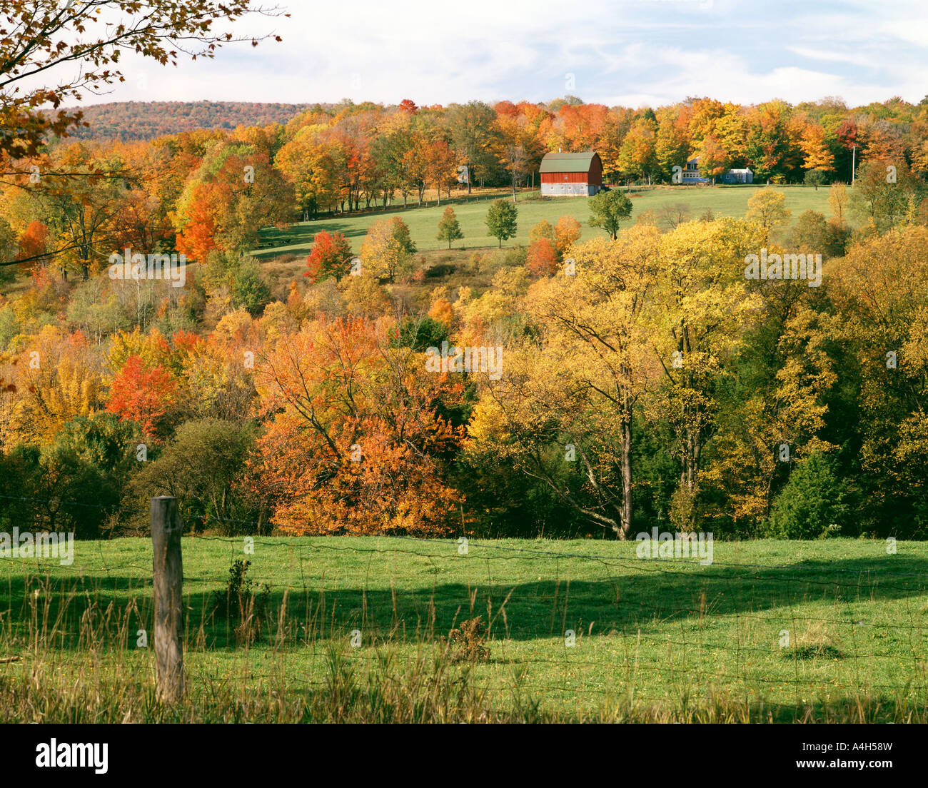 Farm & Fall Colors Near Rt. 154 Between Lincoln Falls & Piatt, Sullivan ...