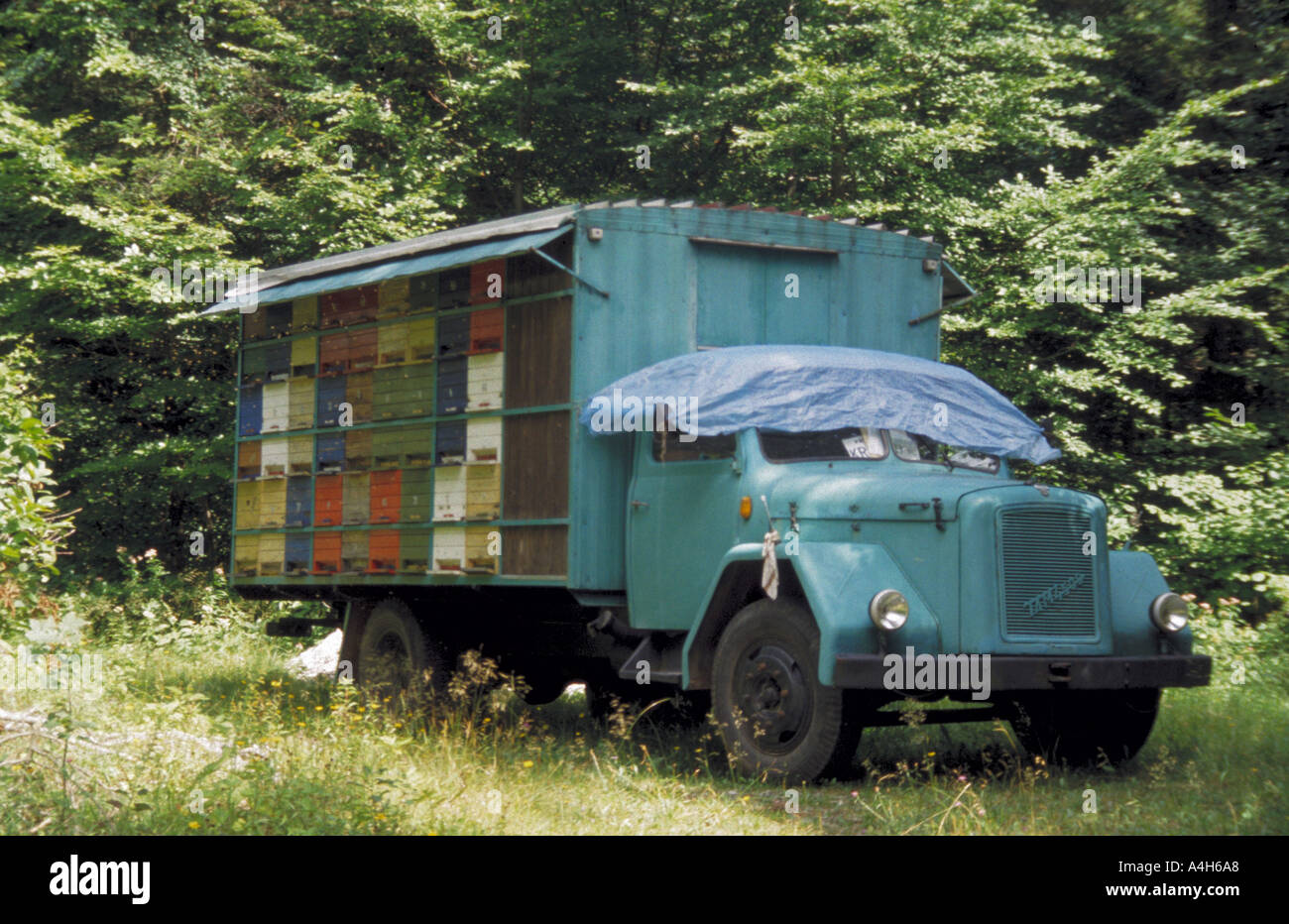 Mobile beehive truck in a forest near Lake Cerknica Slovenia Stock ...
