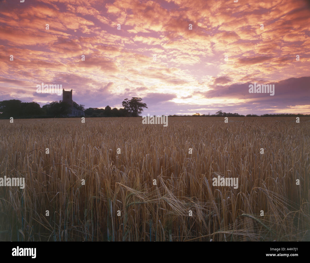 Backdrop open field dusk hi-res stock photography and images - Alamy