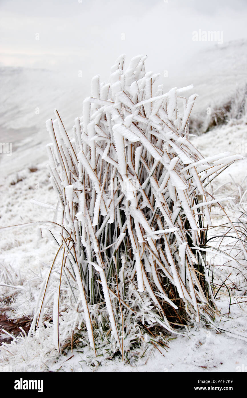 Snow Formation on Grass Pen y Fan Mountain Brecon Beacons Mid Wales ...