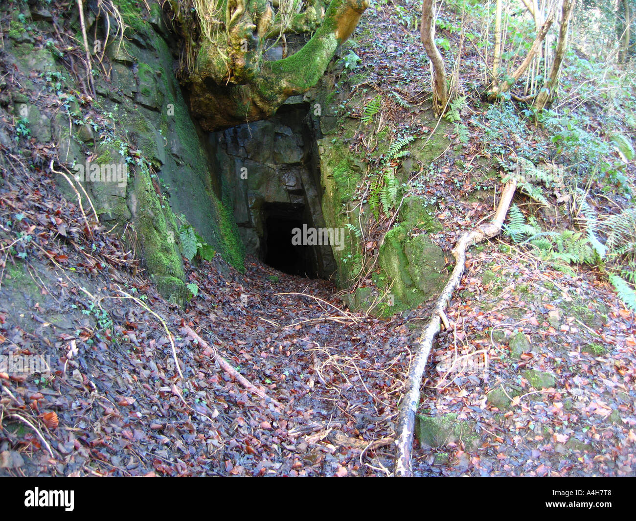 Old Mineshaft Garth Mountain Near Pentyrch Cardiff Suburbs South Wales ...