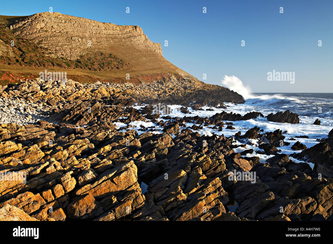 Cliff tears hi-res stock photography and images - Alamy