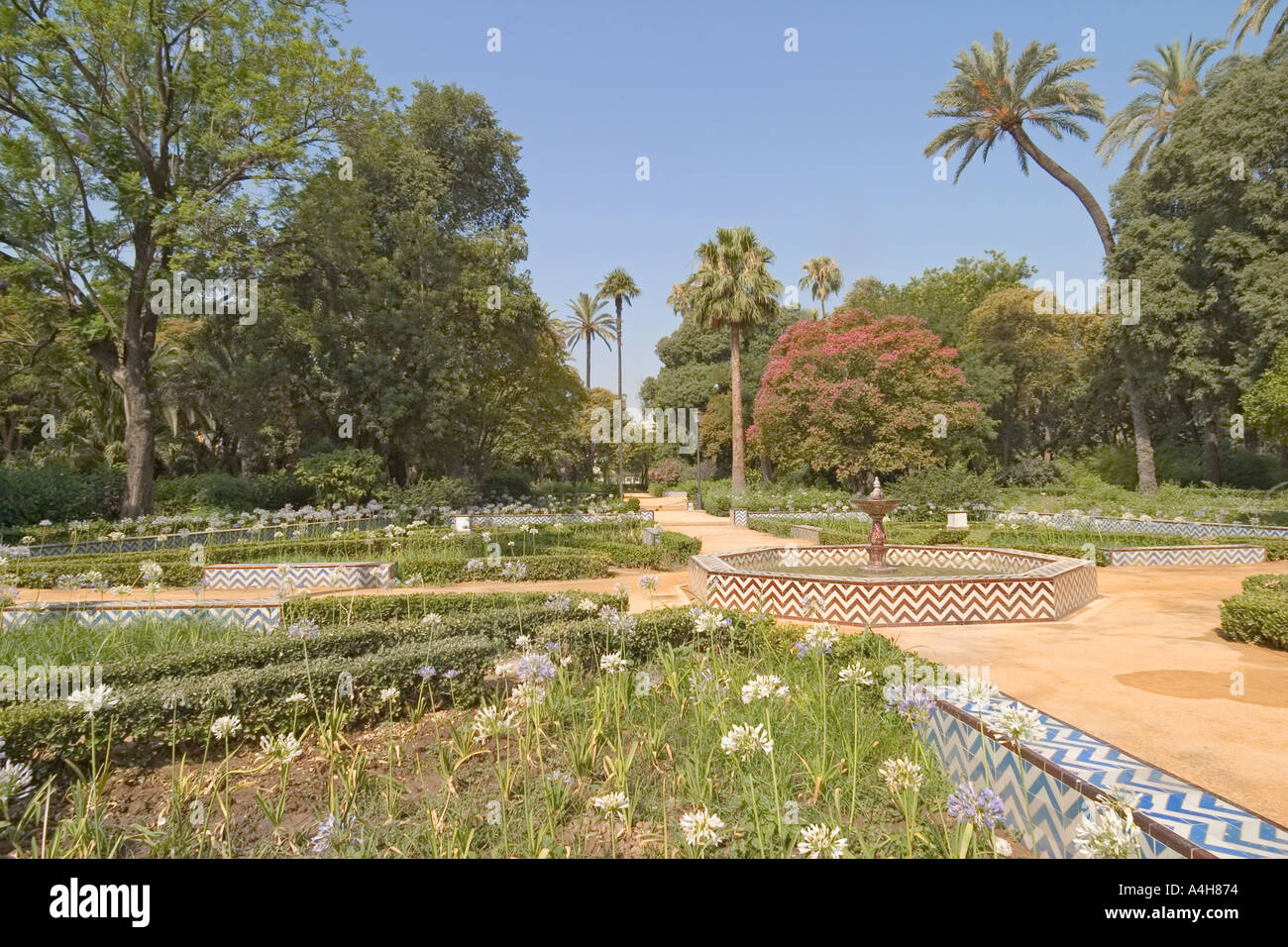 Concha de maria hi-res stock photography and images - Alamy