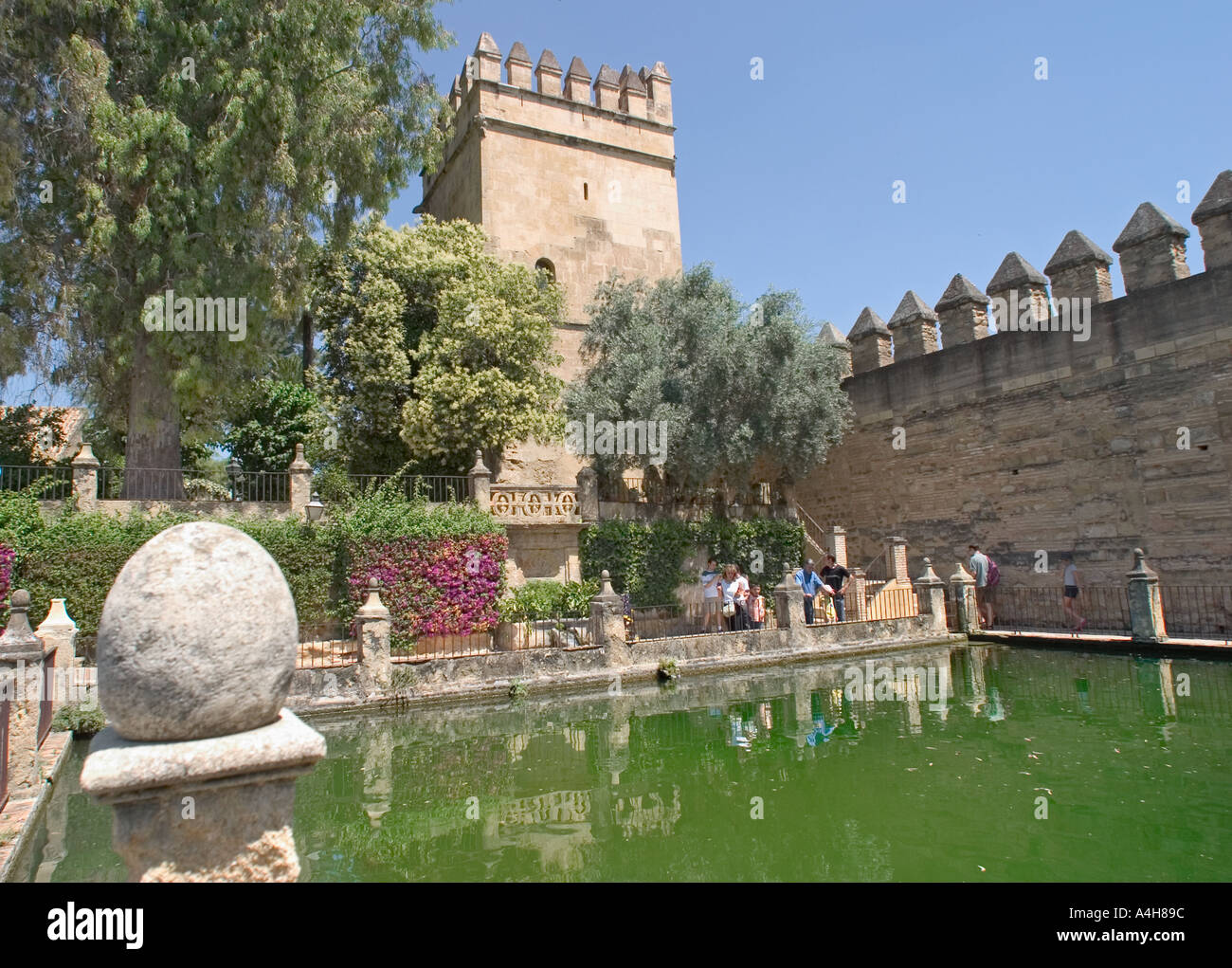 Cordoba Spain La Alcazar gardens and pond Stock Photo - Alamy