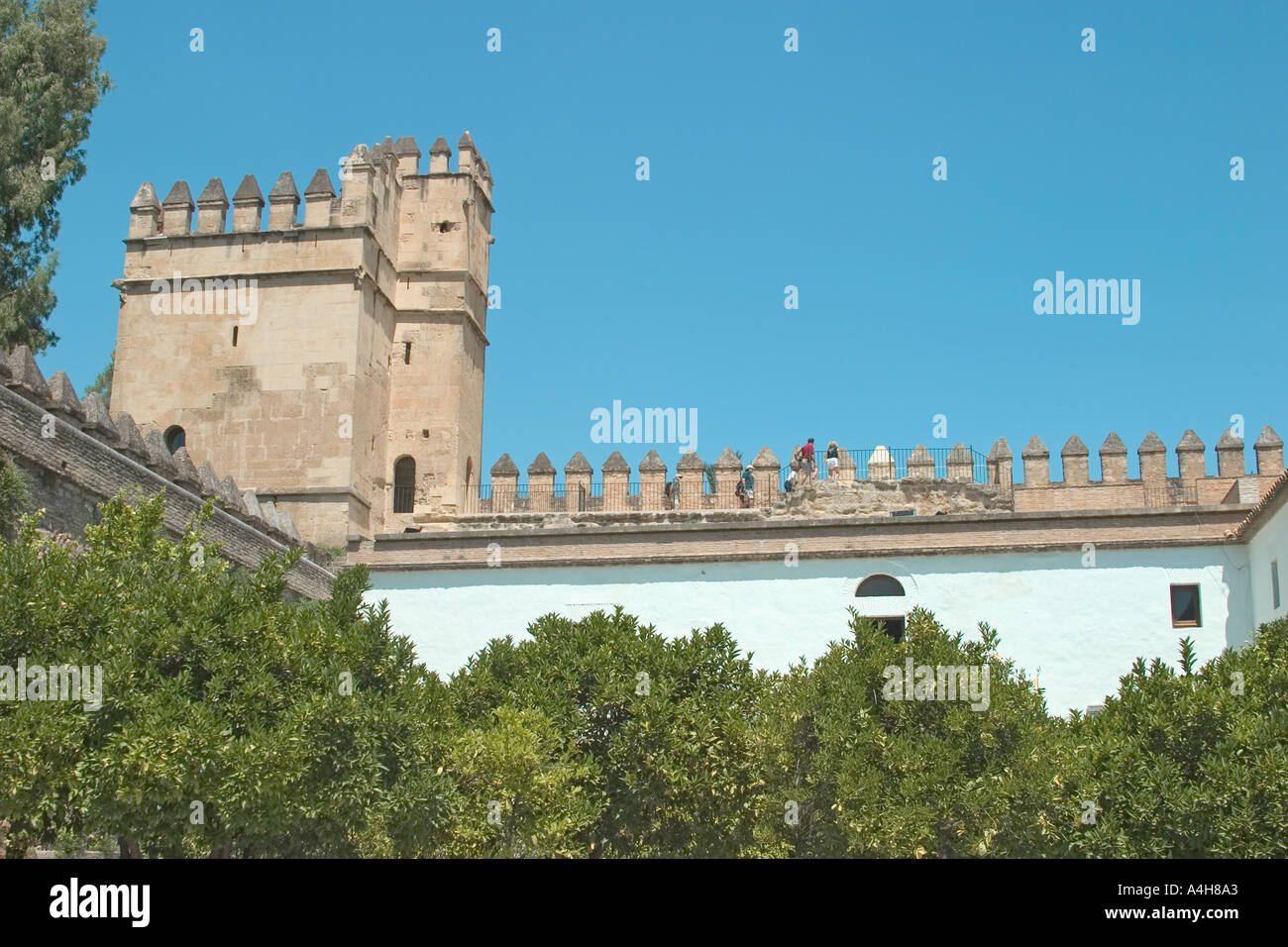 Alcazar arabe hi-res stock photography and images - Alamy