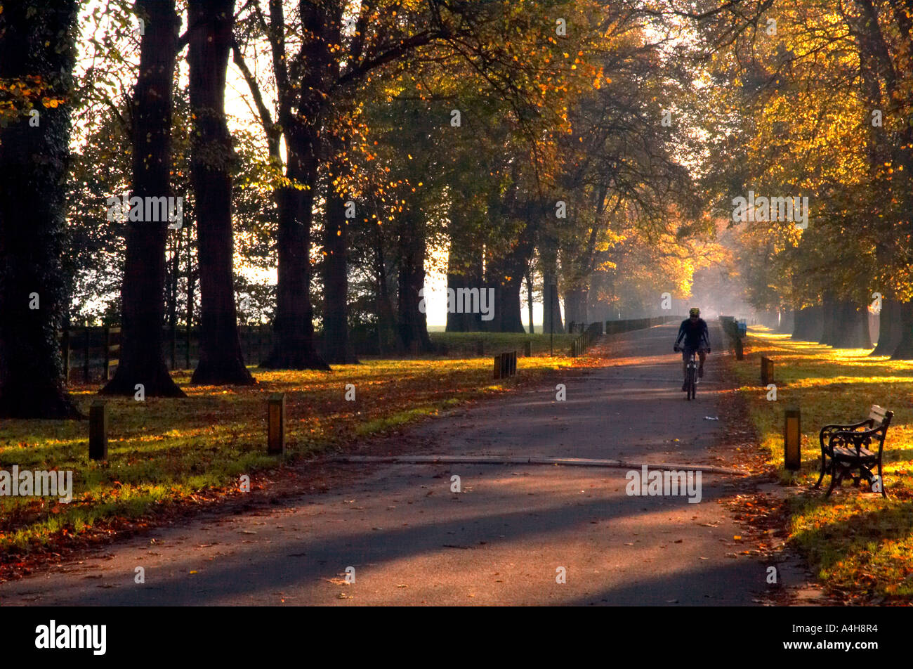 Sunrise pontcanna fields cardiff hi-res stock photography and images ...