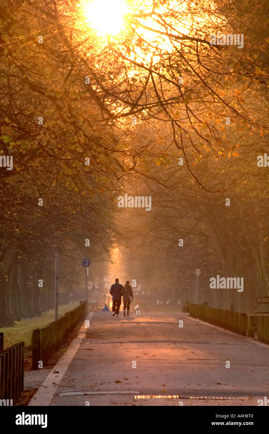 Sunrise pontcanna fields cardiff hi-res stock photography and images ...