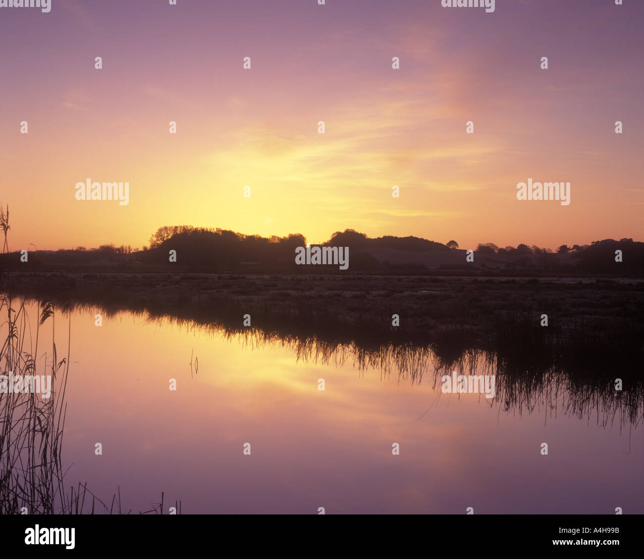 River frome dawn wareham england hi-res stock photography and images ...
