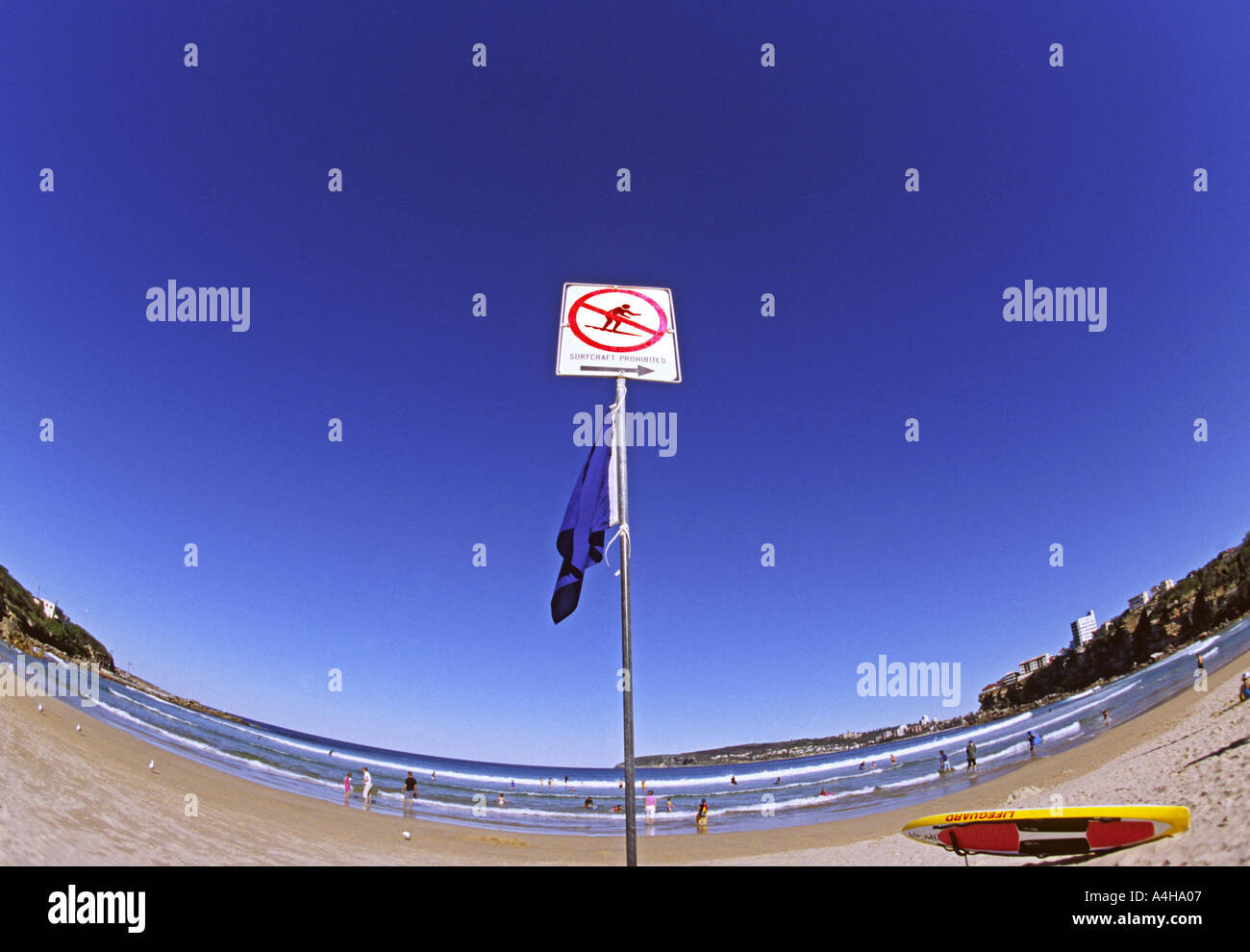 No surfing sign Freshwater beach Sydney Australia Stock Photo - Alamy
