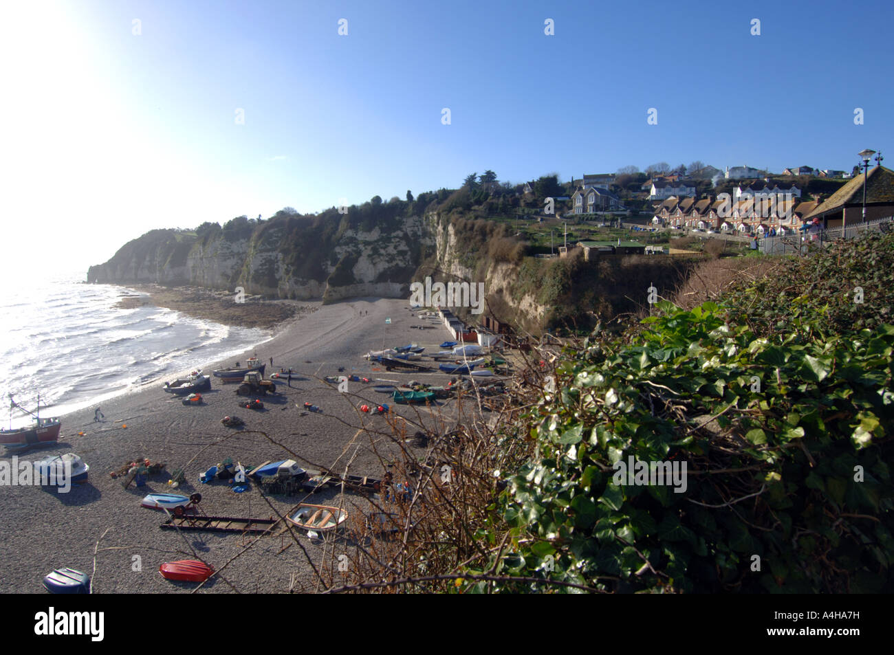 Beer in devon hi-res stock photography and images - Alamy