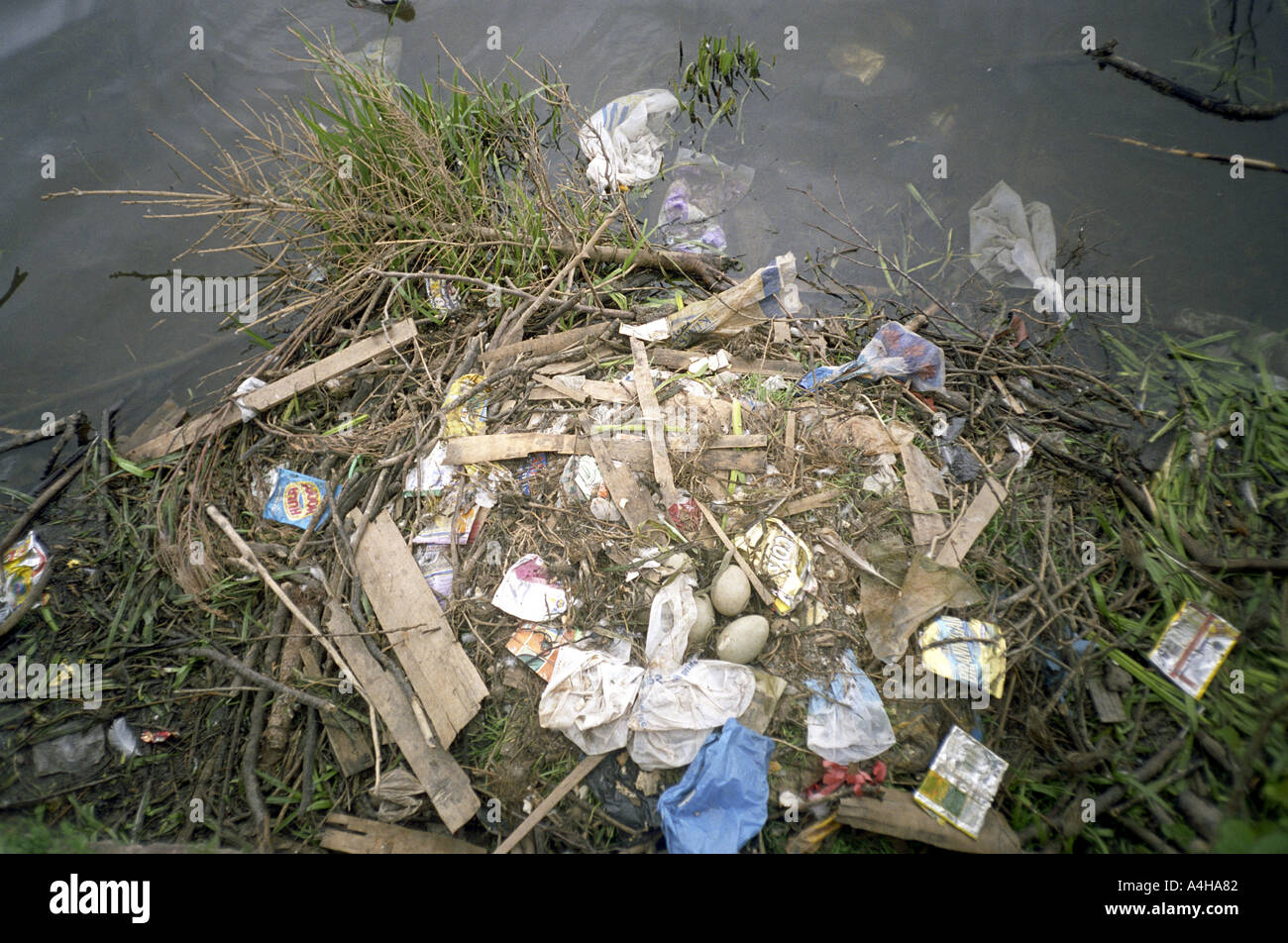 Devon eggs hi-res stock photography and images - Alamy
