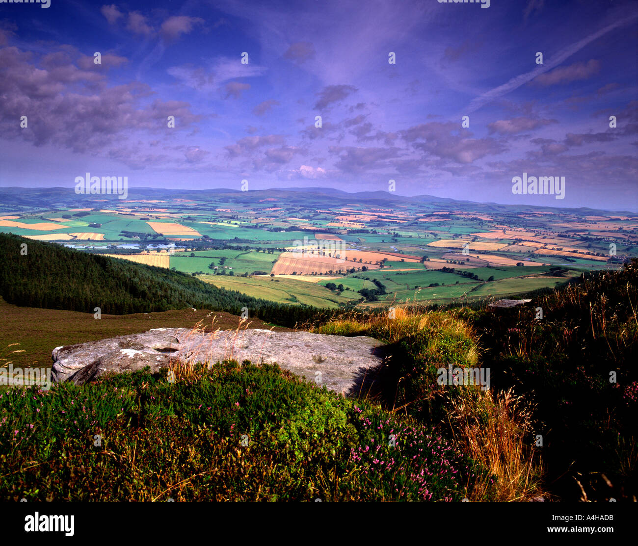 View north from Simonside Hills, Northumberland Stock Photo - Alamy