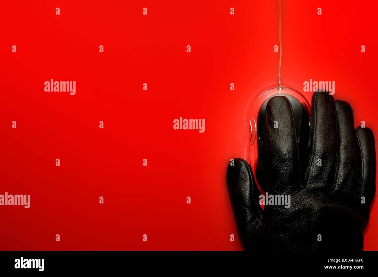 Hand with black leather glove on top of computer mouse over red ...