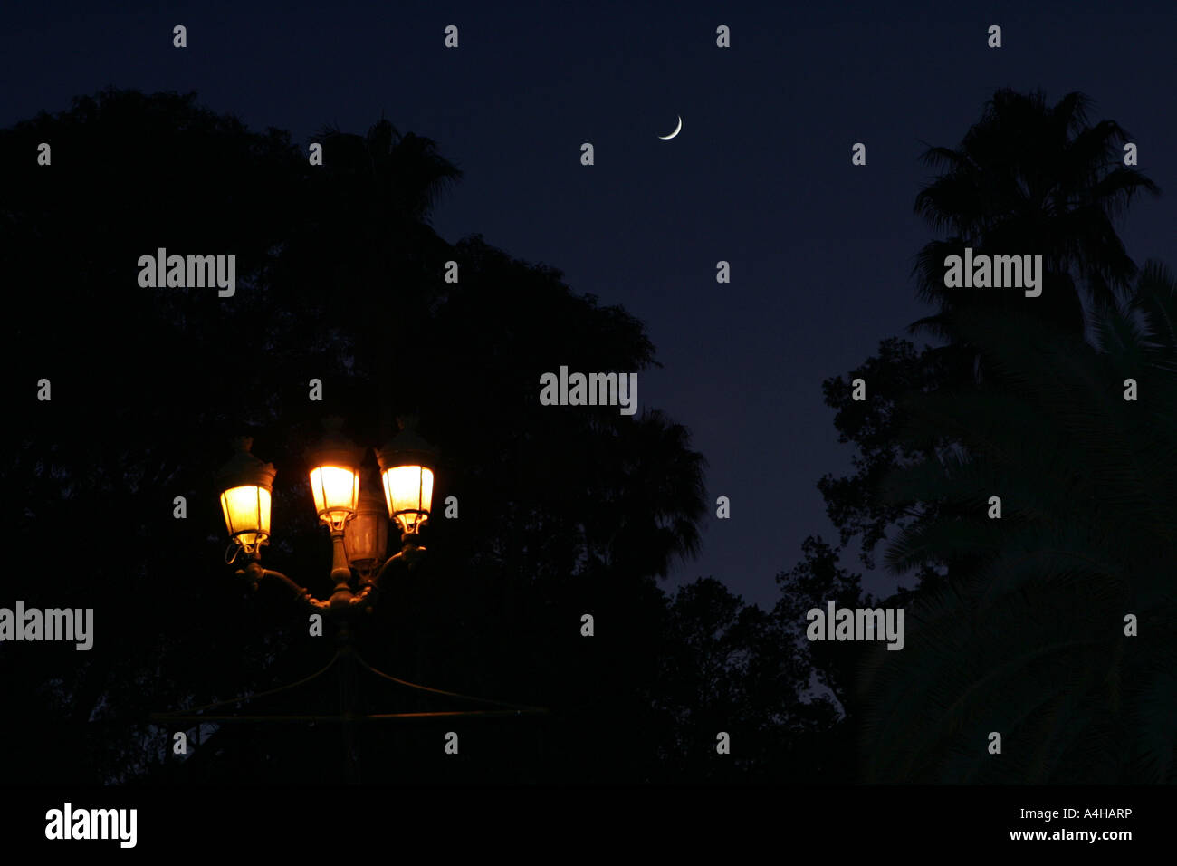 Marrakech Morocco street light & moon Stock Photo - Alamy
