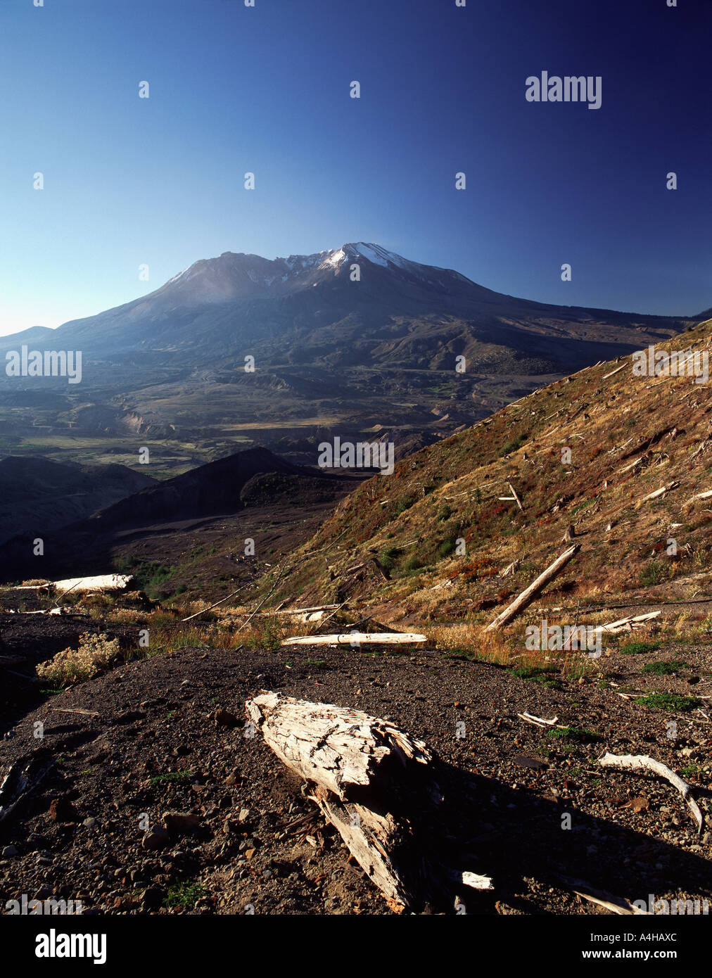 Loowit viewpoint hi-res stock photography and images - Alamy