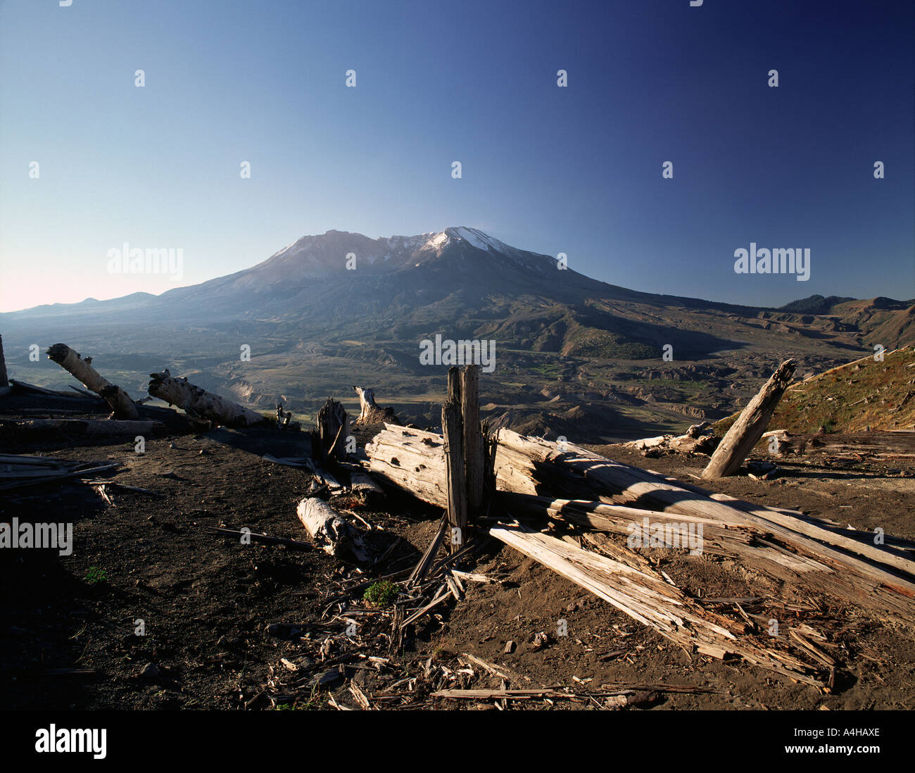 Mt St Helens Volcano crater view at sunrise from Loowit viewpoint on ...