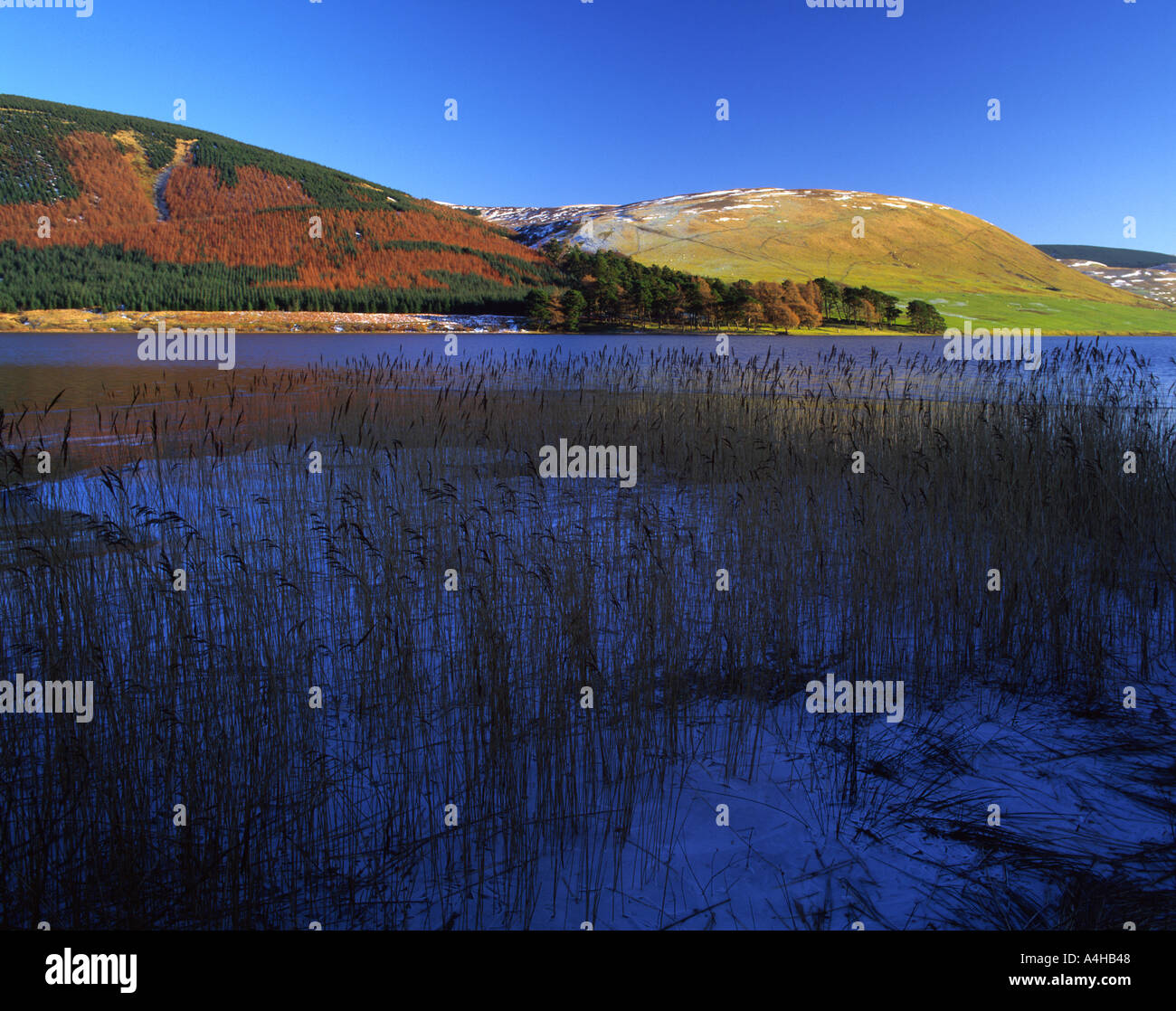 St Mary's Loch, Scottish Borders Stock Photo - Alamy