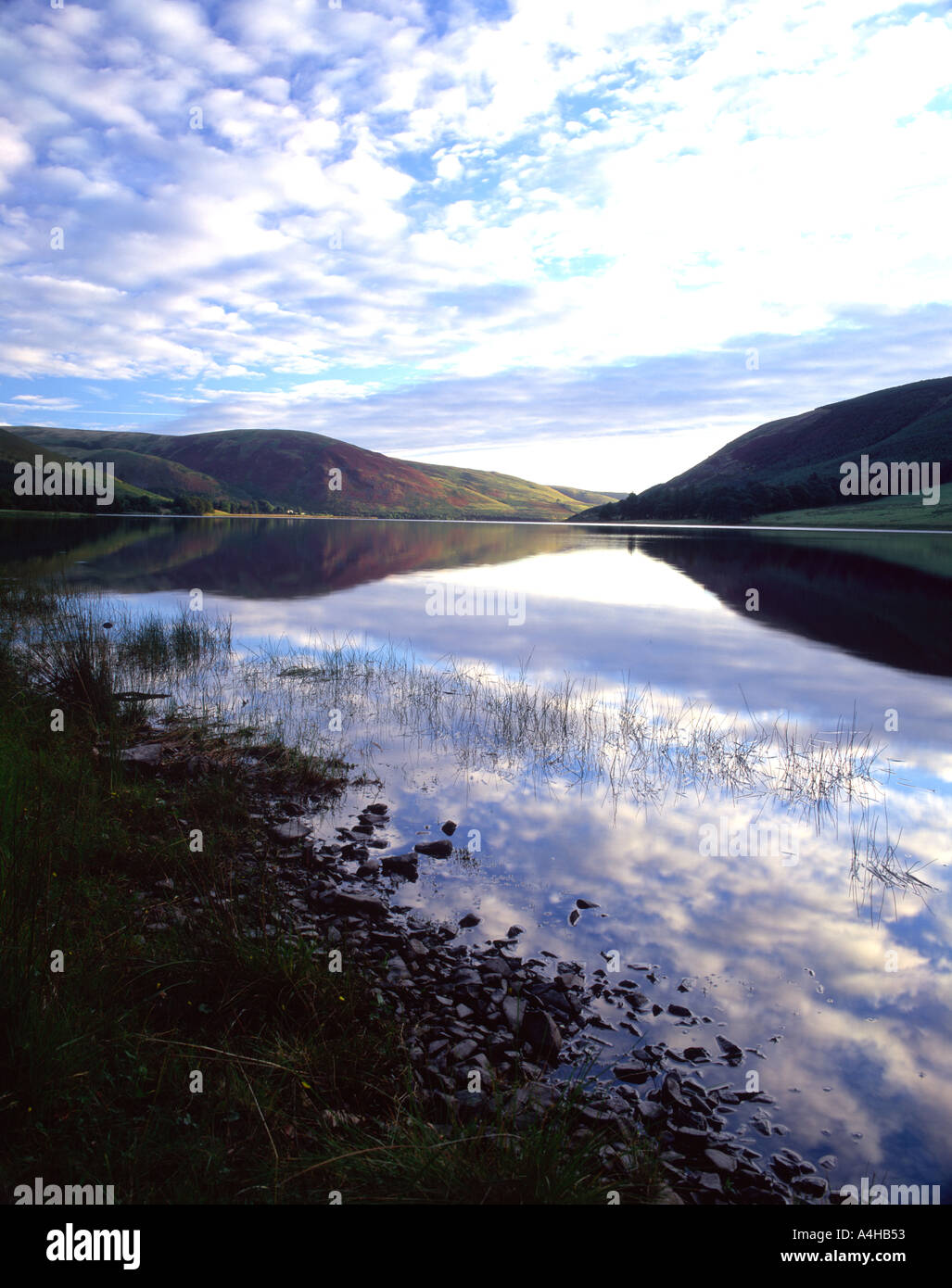 View down St Mary s Loch, Scottish Borders Stock Photo - Alamy