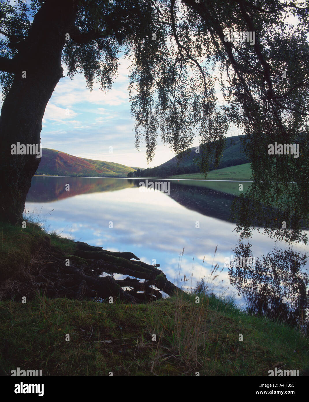 St mary loch hi-res stock photography and images - Alamy