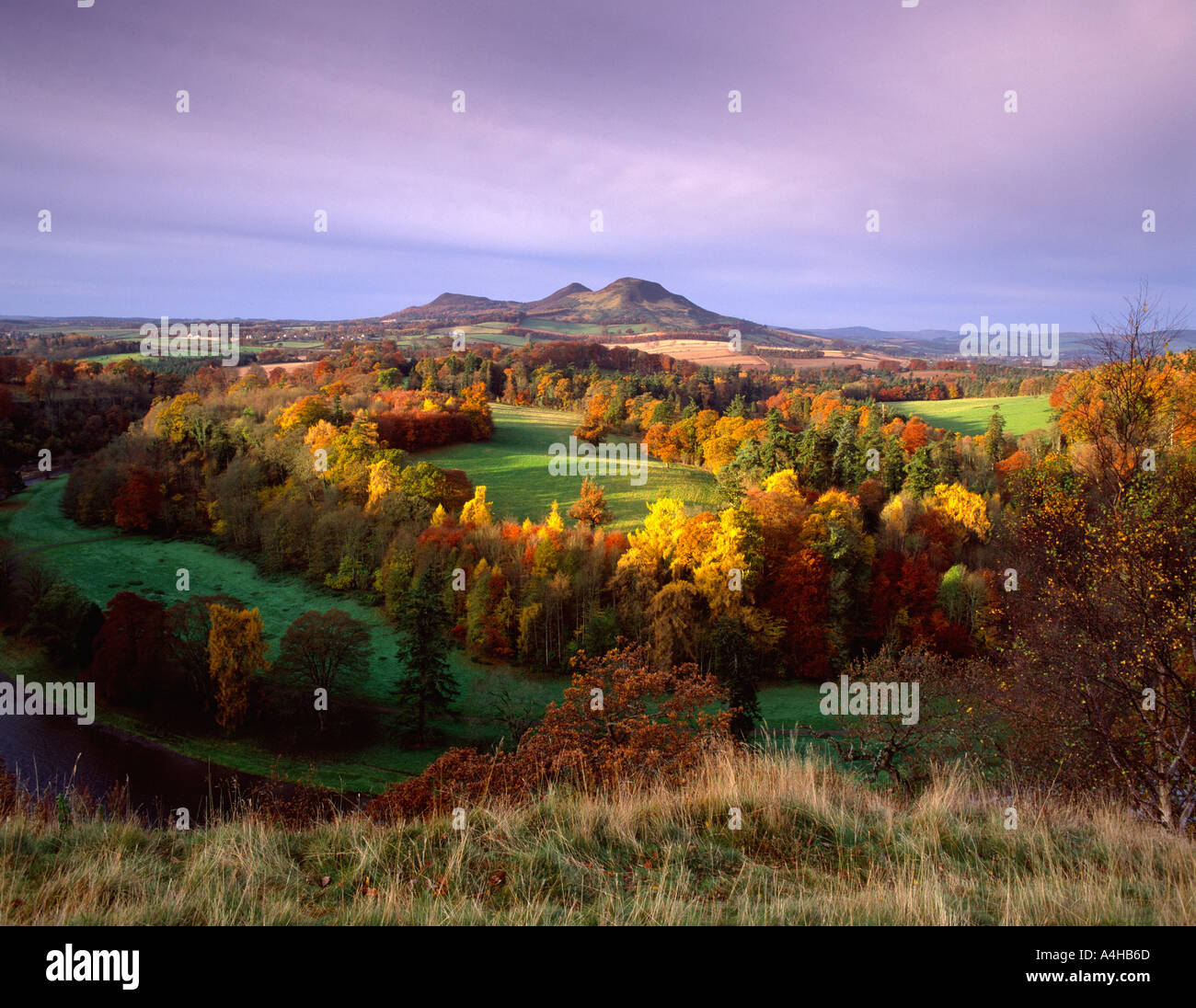 Scott's View in Autumn, Scottish Borders Stock Photo - Alamy