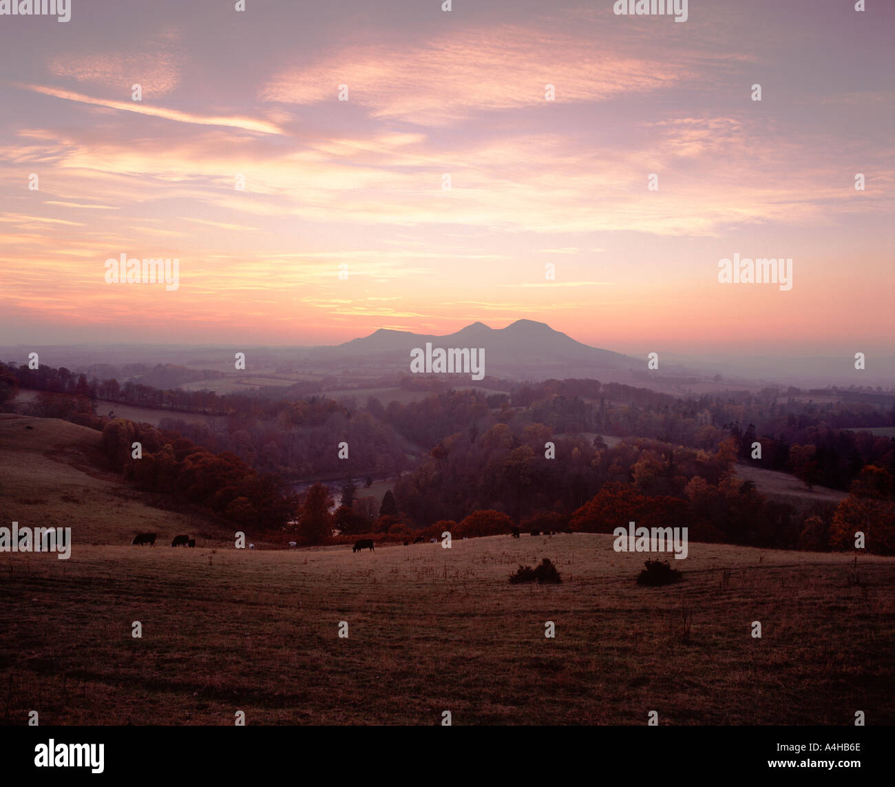 Scott's View at Sunset, Scottish Borders Stock Photo - Alamy