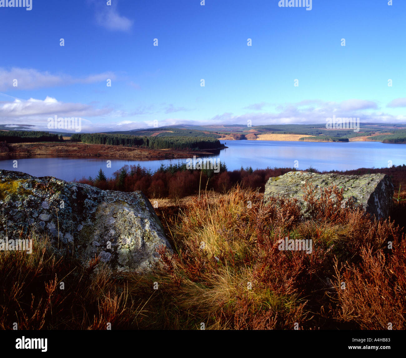 Kielder forest autumn hi-res stock photography and images - Alamy