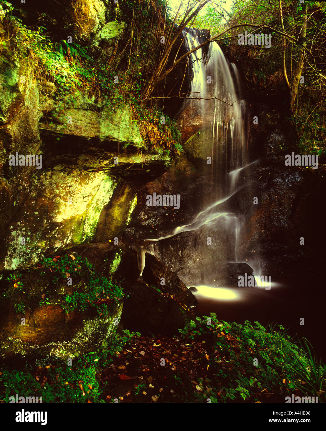 Roughting Linn Waterfall, Northumberland England Stock Photo - Alamy