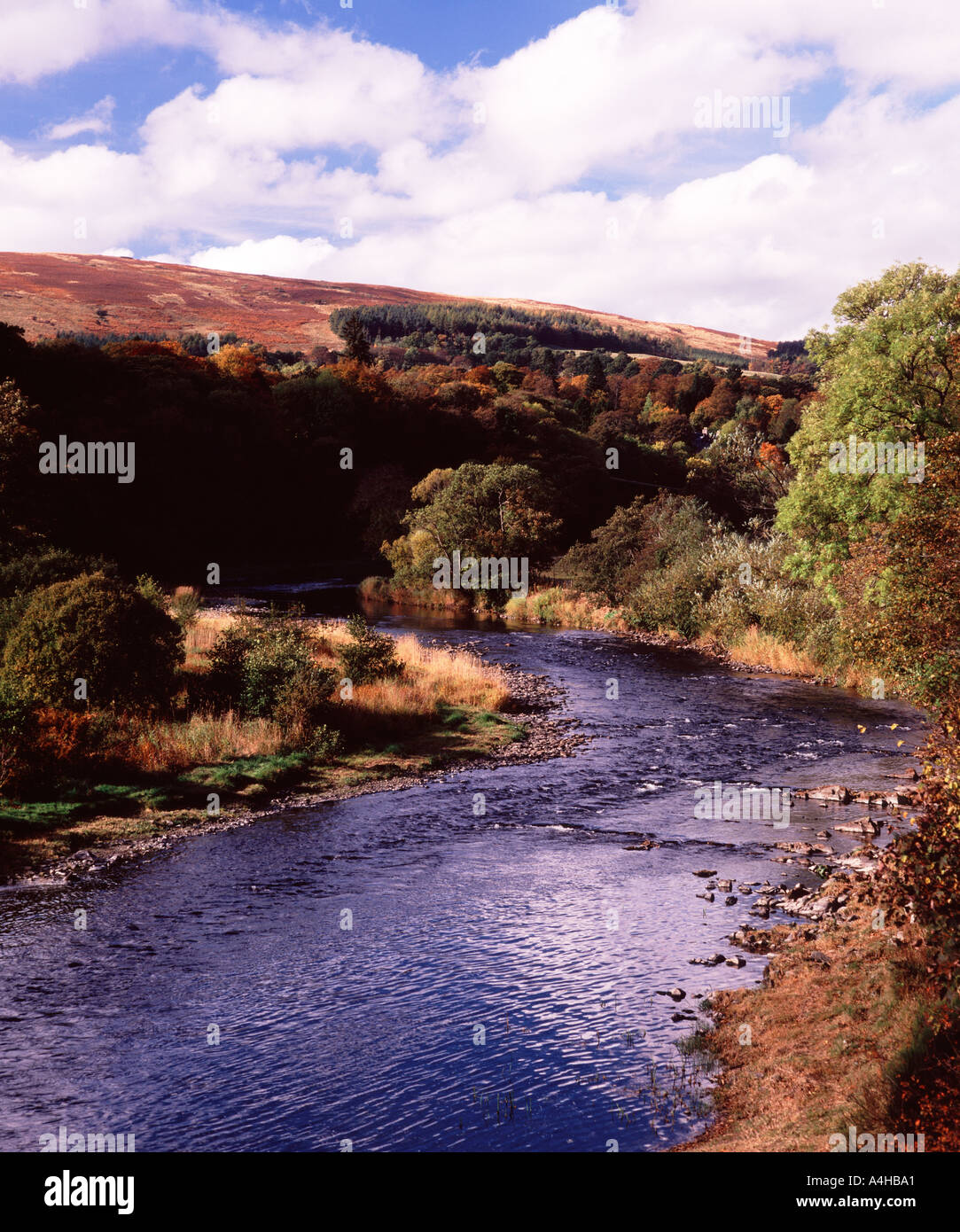 River Tweed, Upstream from Ashiestiel Bridge, Scottish Borders Stock ...