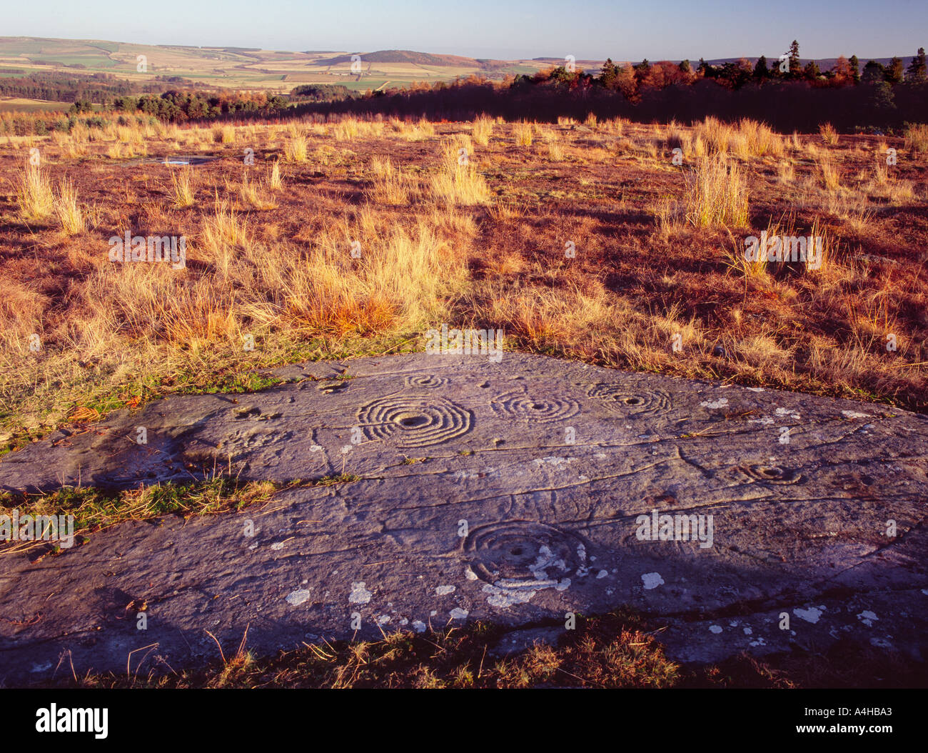 Cup and Ring Stone, Weetwood Moor, near Wooler, Northumberland Stock ...