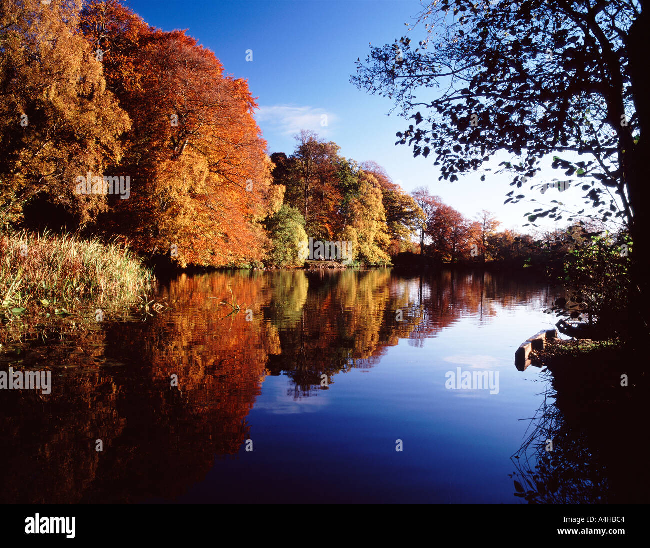 Bolam Lake in Autumn, Northumberland Stock Photo - Alamy