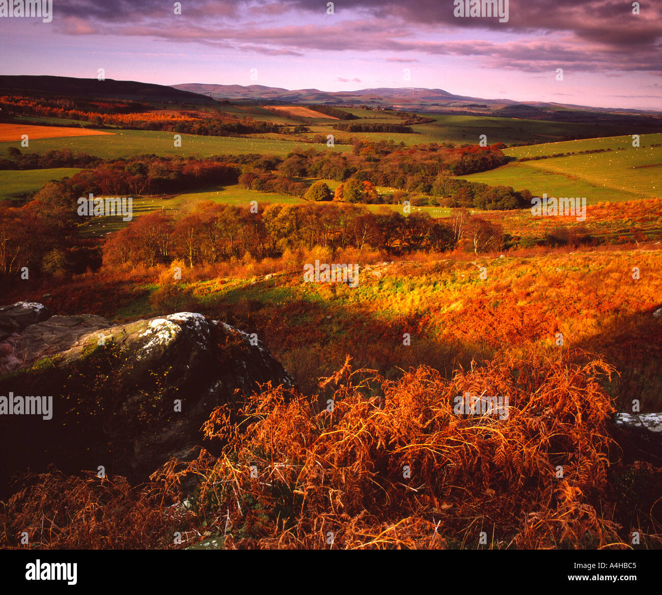 Edlingham crags hi-res stock photography and images - Alamy