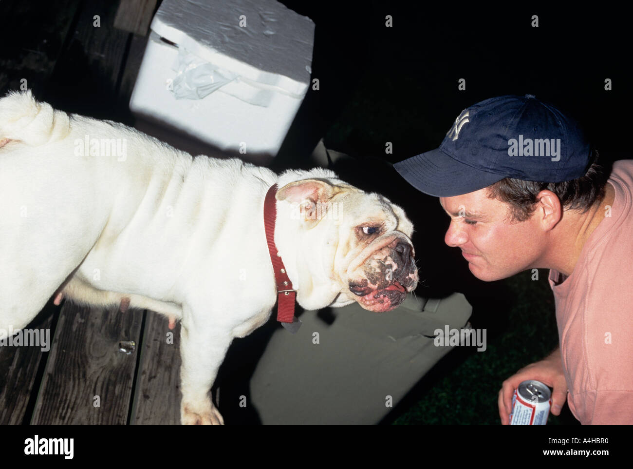 MAN MAKING FACE AT BULLDOG Stock Photo - Alamy