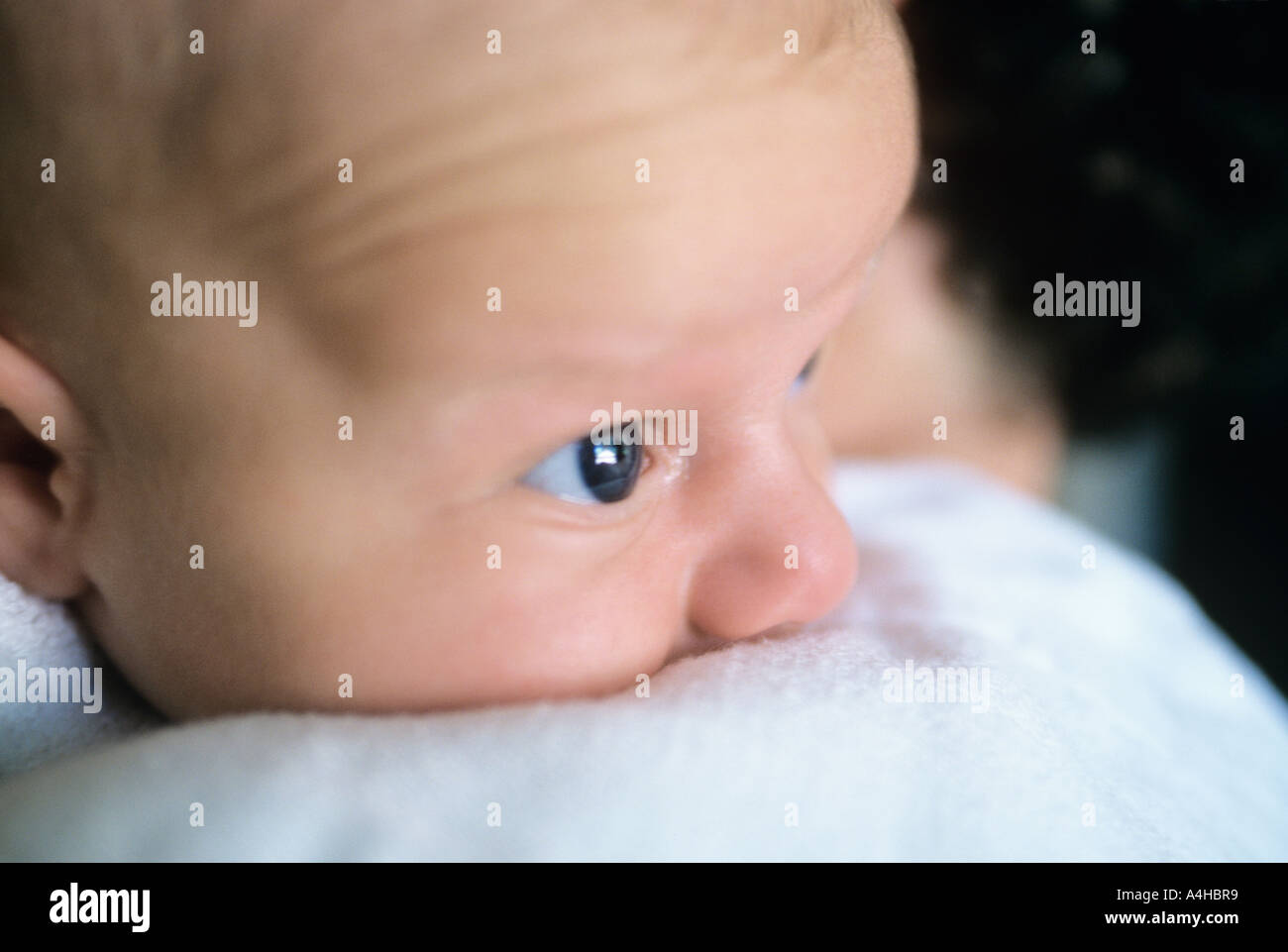 Observant parents hi-res stock photography and images - Alamy