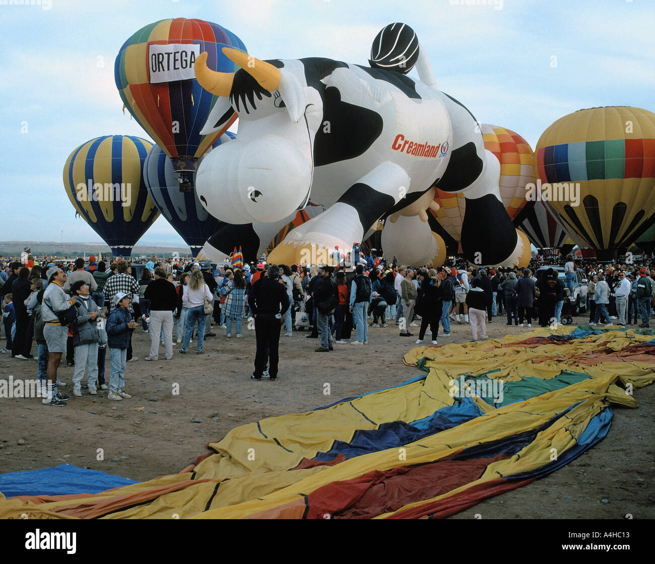 Flying cow hot air balloon ready for take off Stock Photo - Alamy
