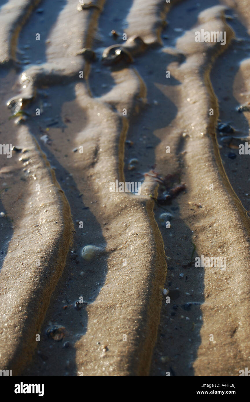Close up sand showing pattern from tide at Sandbanks, Poole, Dorset, UK ...