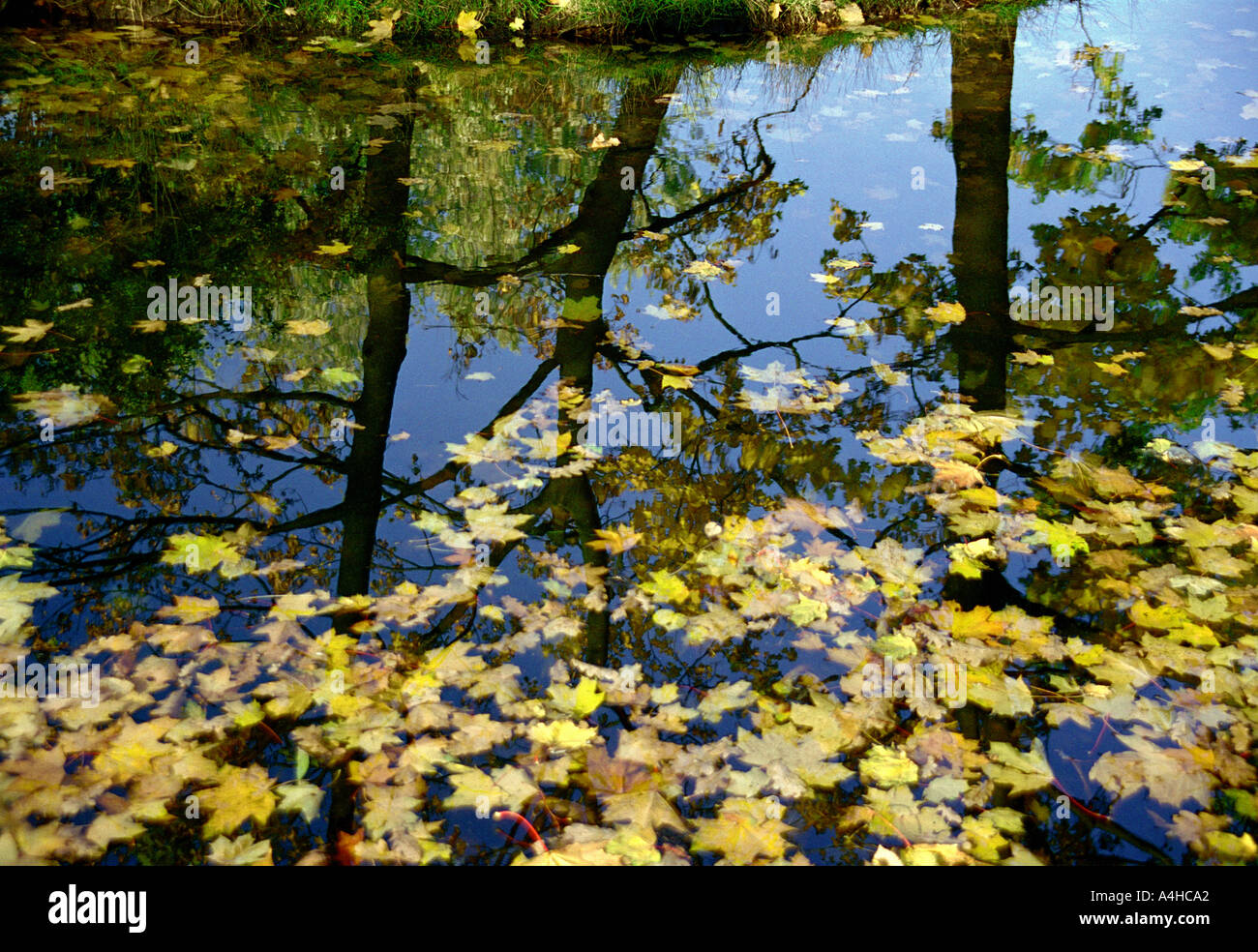 Seasons warsaw hi-res stock photography and images - Alamy