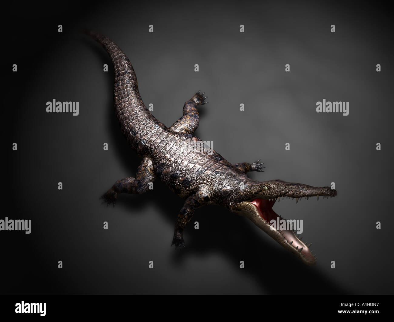 3D composite model of a fierce looking crocodile Stock Photo - Alamy