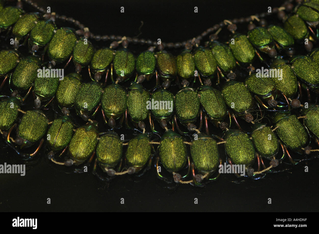 Necklace made by the Sequoia ecuadorian indigenous tribe using green ...