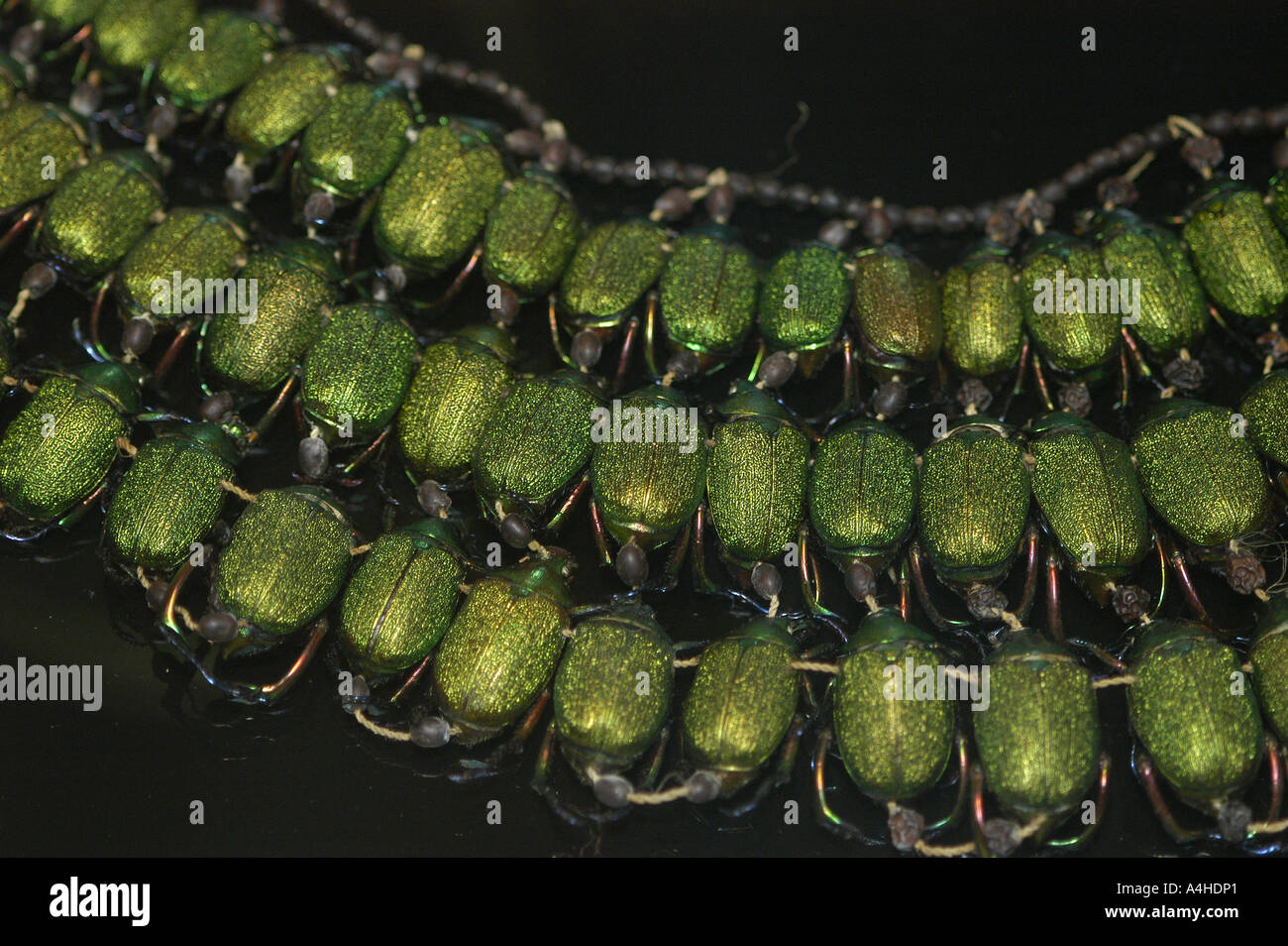 Necklace made by the Sequoia ecuadorian indigenous tribe using green ...