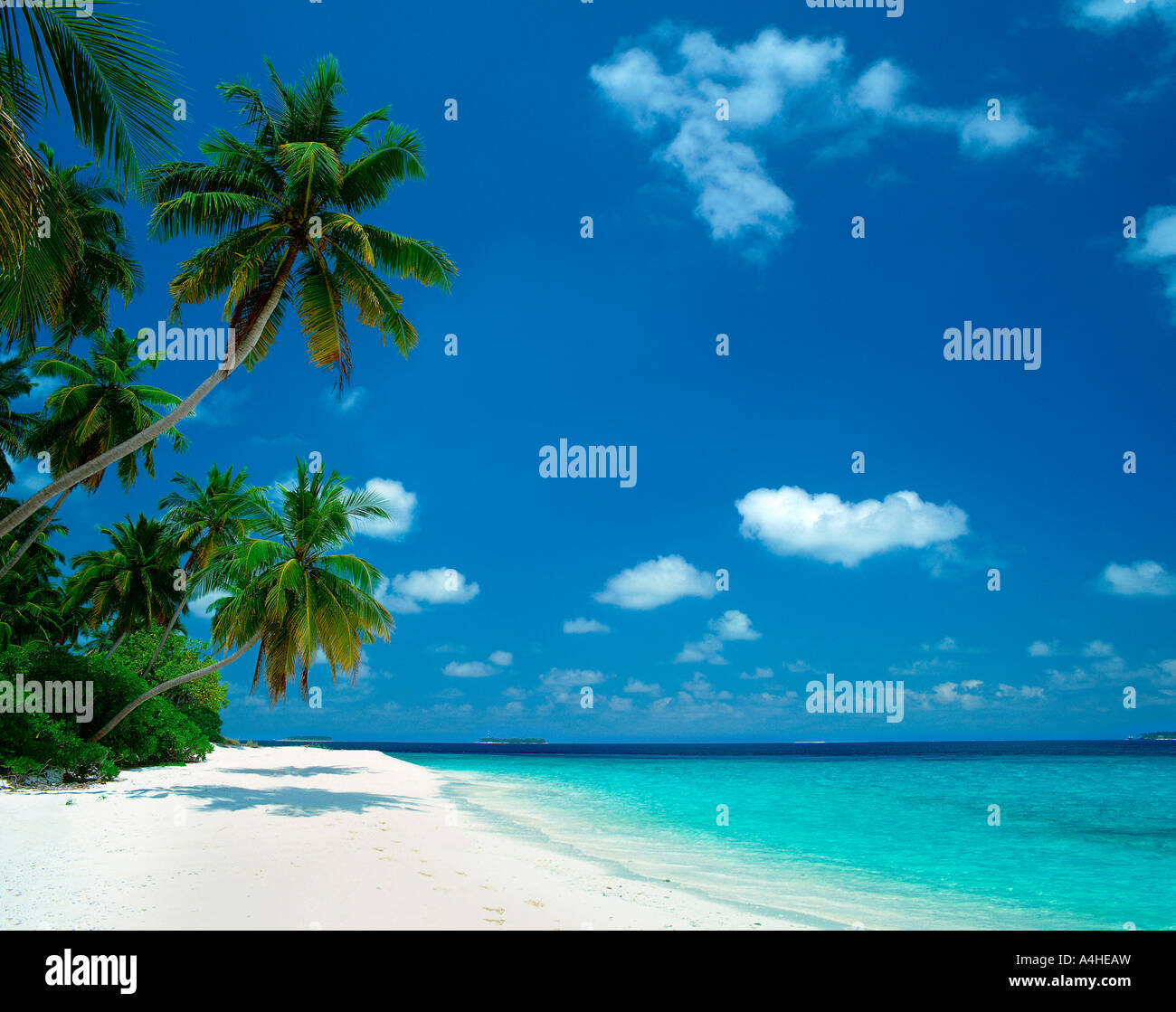The shore of a paradise island Stock Photo - Alamy