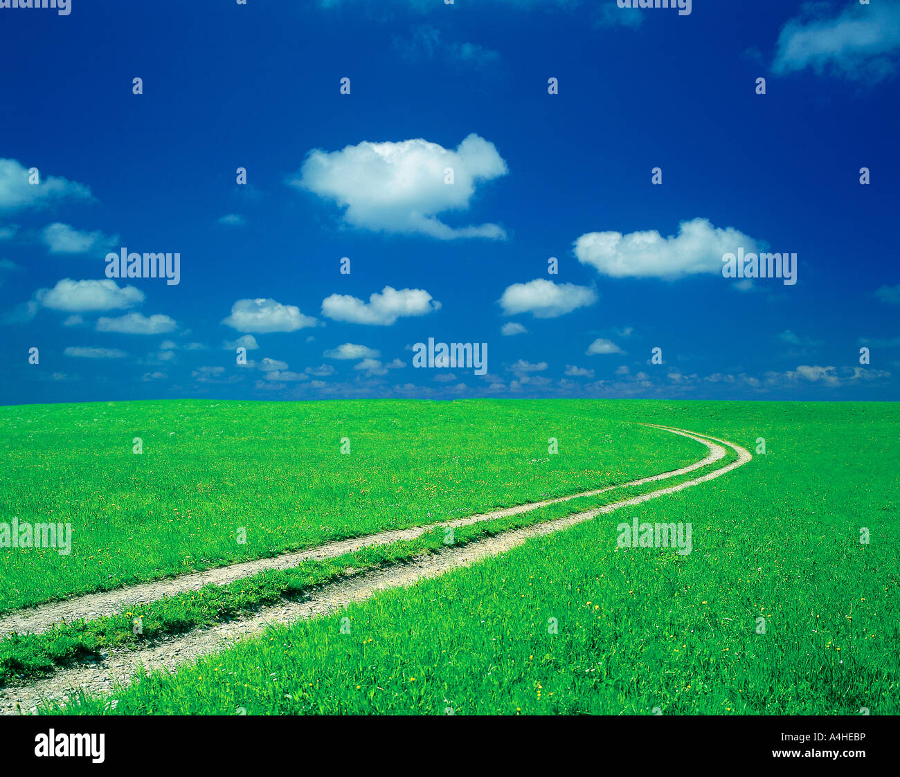 A trail leading through a green field under a clear blue sky Stock ...