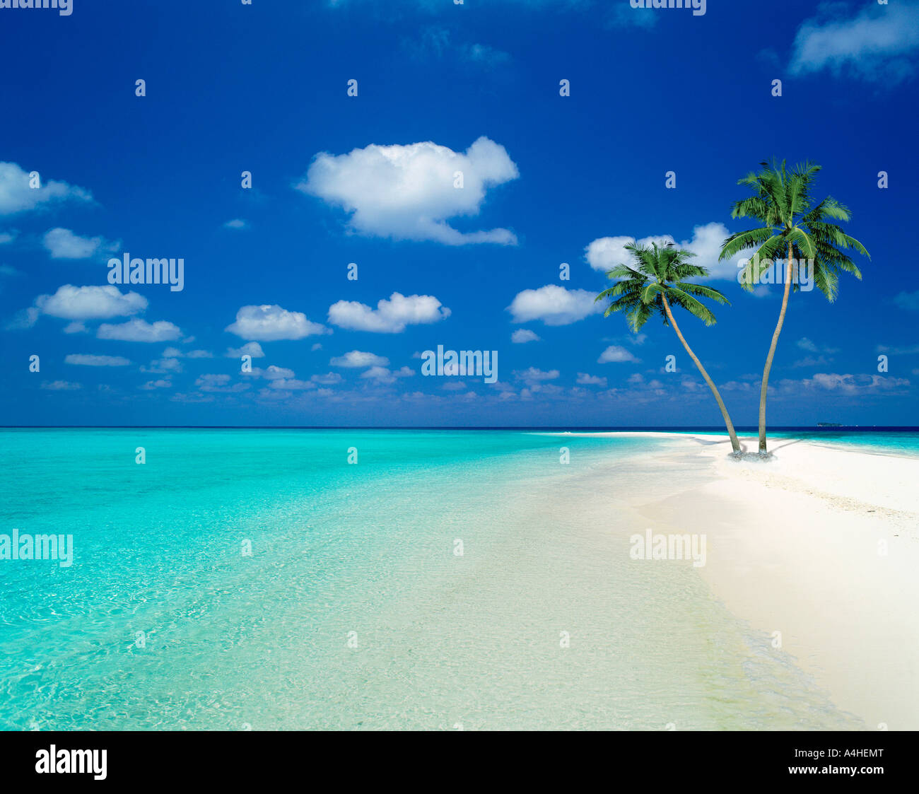 The shore of a paradise island Stock Photo - Alamy