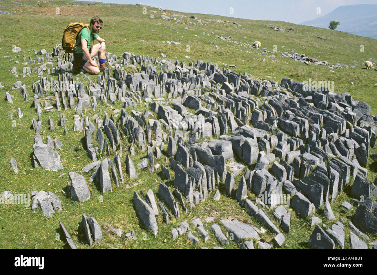 Carreg goch hi-res stock photography and images - Alamy